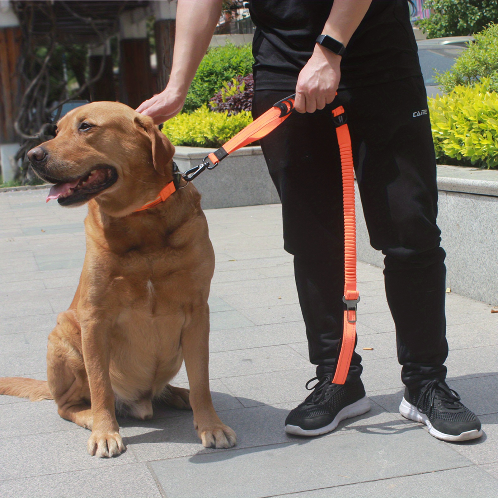 Heavy duty Dog Leash: Reflective Traction Rope Medium Large - Temu