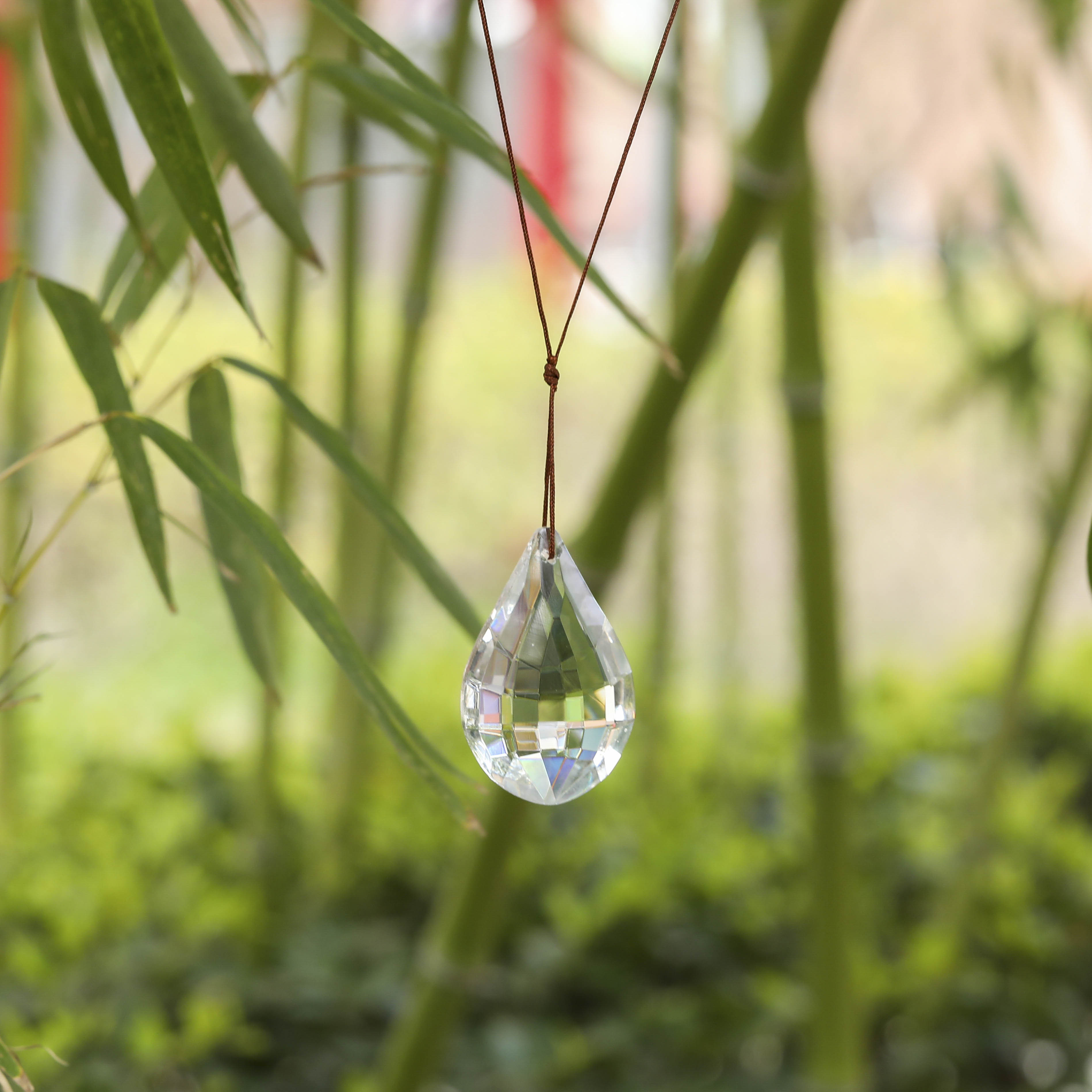 catcher gardening spotlight - Temu Australia