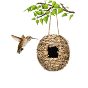 Birds & Poultries - Free Returns Within 90 Days - Temu