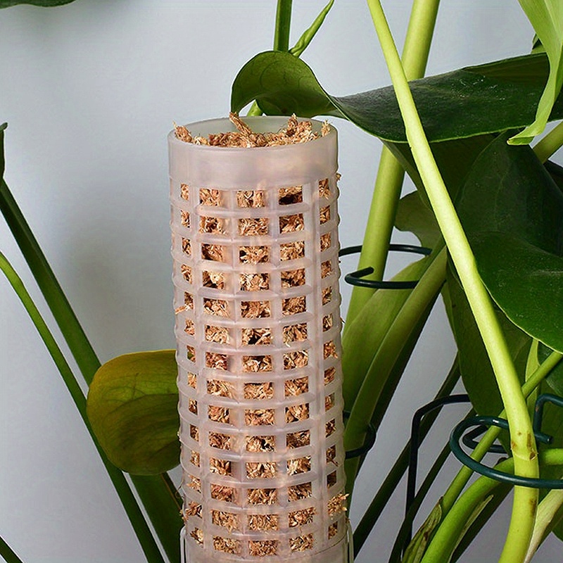 Plants Climbing Stick Plant Support Trellis Frame Water - Temu