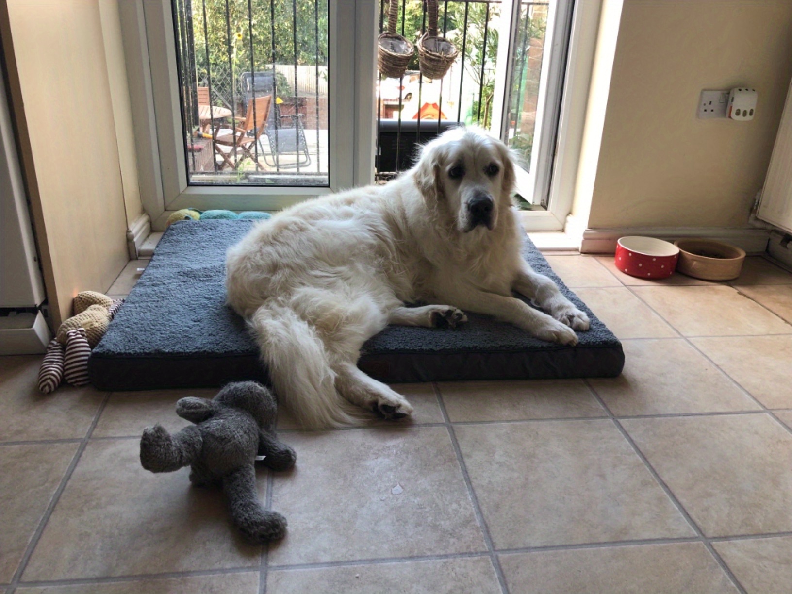 Washable Plush Dog Bed For Medium And Large Dogs Removable - Temu