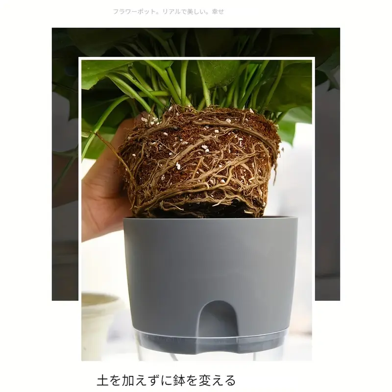 1パック、自己給水ポット、屋内植物用の自己給水 ー、アフリカスミレ、ハーブ、アロエ、ピースリリー用のプラスチック製植木鉢、吸水性コットンロープ