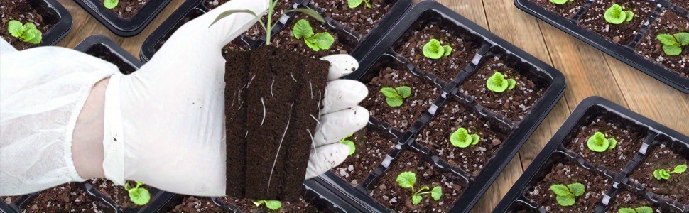 5 Packs With Humidity Dome 120 Cells Total Tray Growing Starting Seed ...