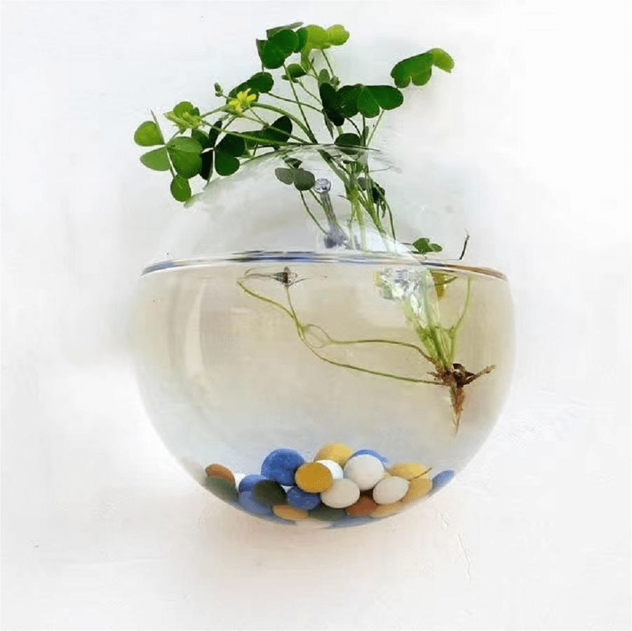 1pc Terrarium Container Flower Plants Hanging Glass Propagating ...