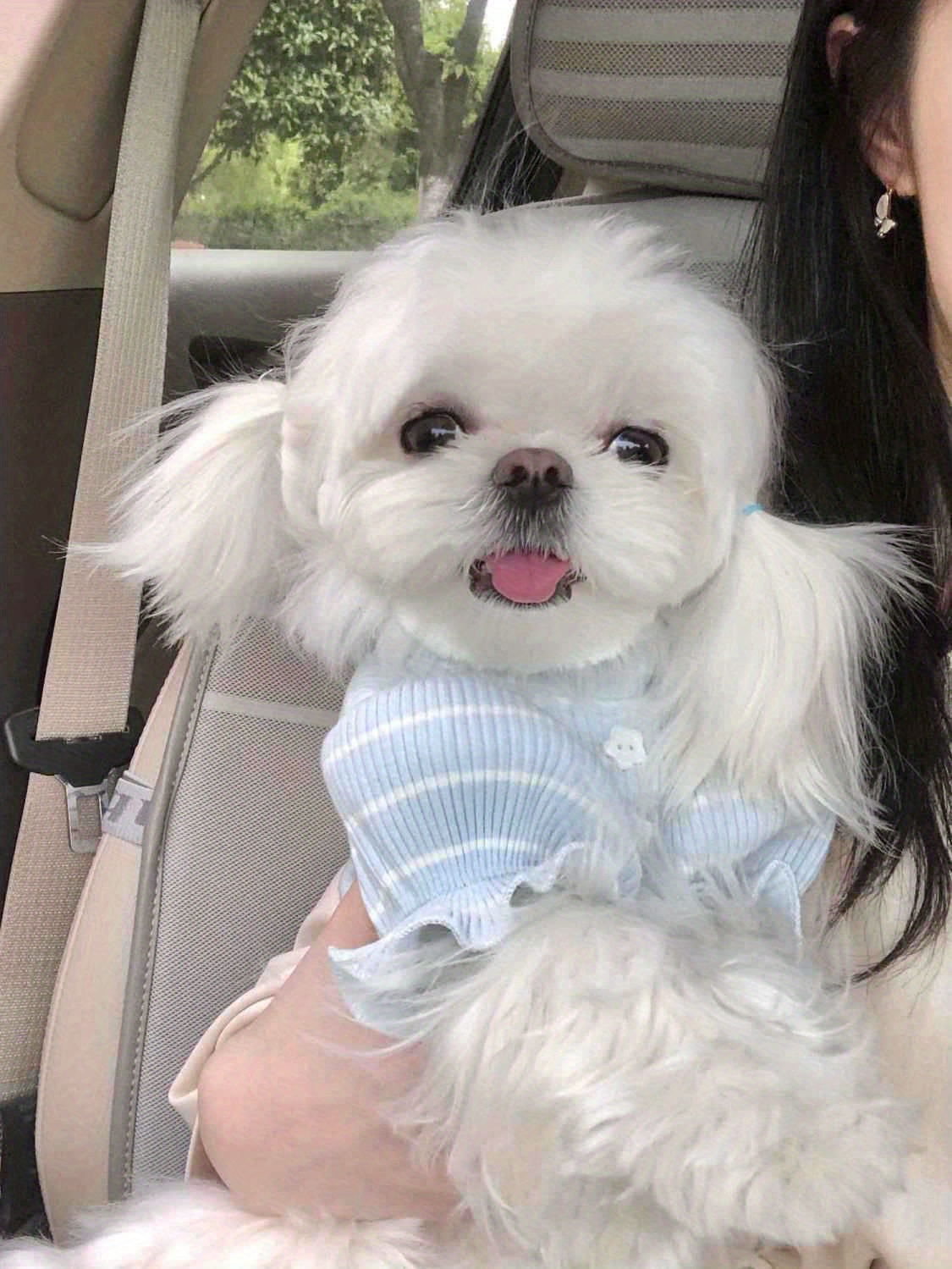 Cool And Comfy Small Dog Clothes Sleeveless Summer Pet Apparel For Thin Puppies | Shop On Temu ...