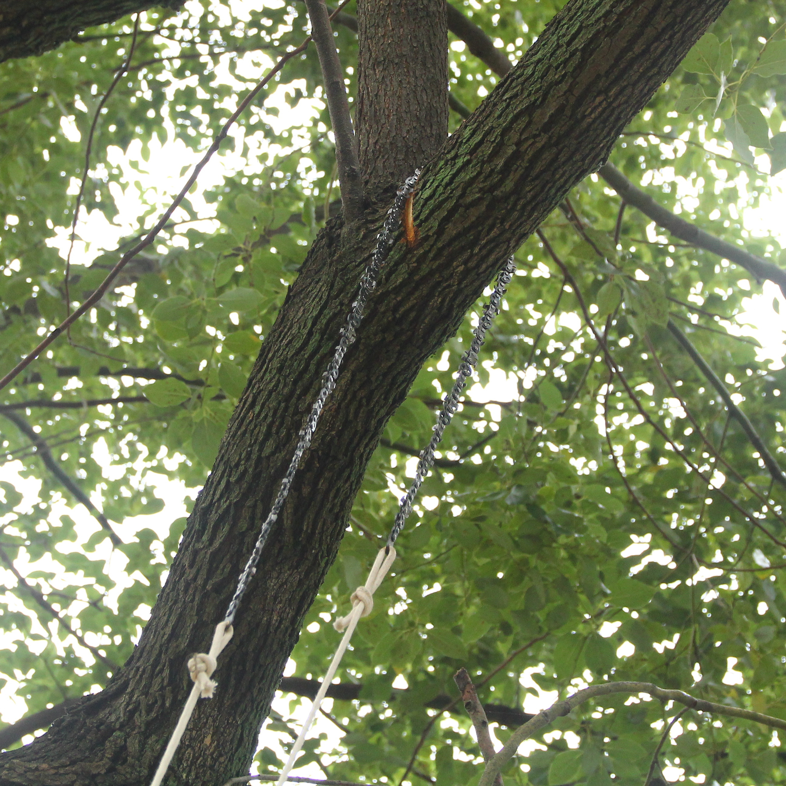 China Professional Manufacturer Chain Saw Wood Handheld - Temu