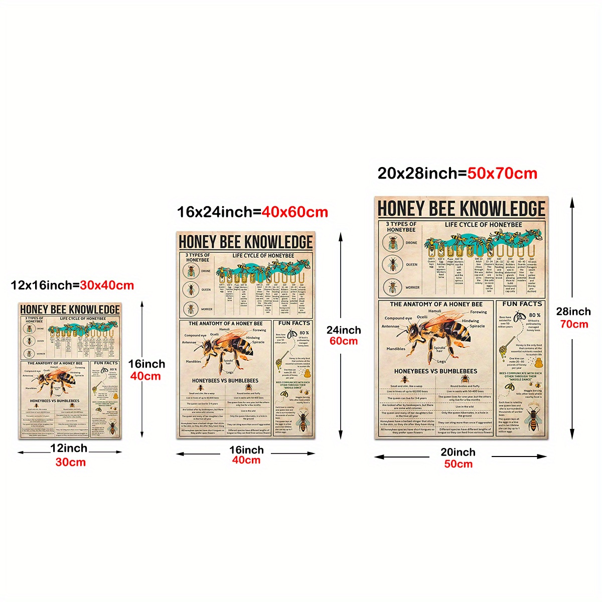 Honey Bee Knowledge Poster Print Vintage Canvas Painting - Temu Australia
