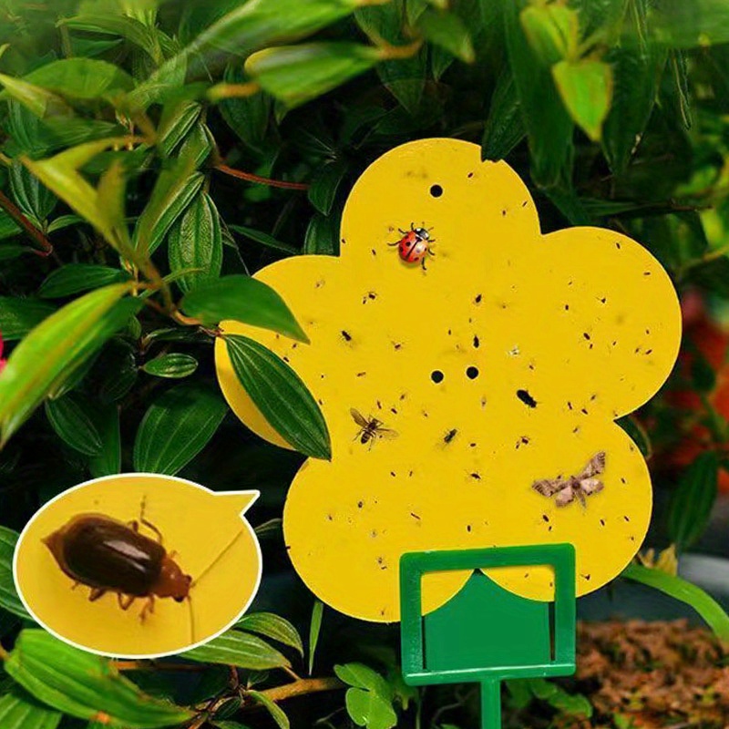 One Set Sticky Trap Fruit Fly Pest Insect Trap Catchers Yellow Sticky ...