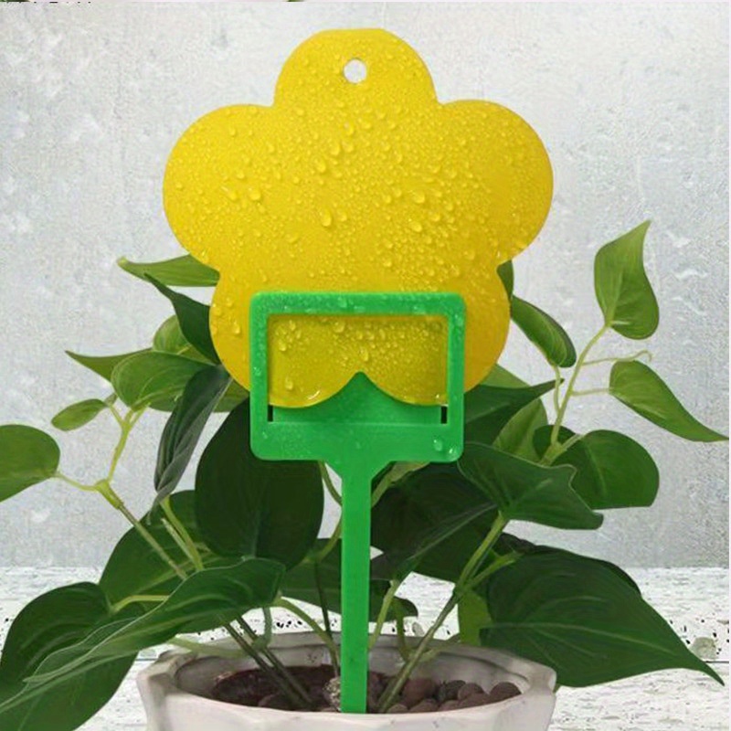 One Set Sticky Trap Fruit Fly Pest Insect Trap Catchers Yellow Sticky ...