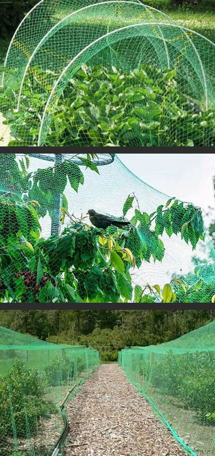 Anti bird Net Green Anti bird Net Protect Fruits Vegetables - Temu