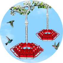 Bird Feeders&animal Husbandry - Free shipping on items shipped from ...
