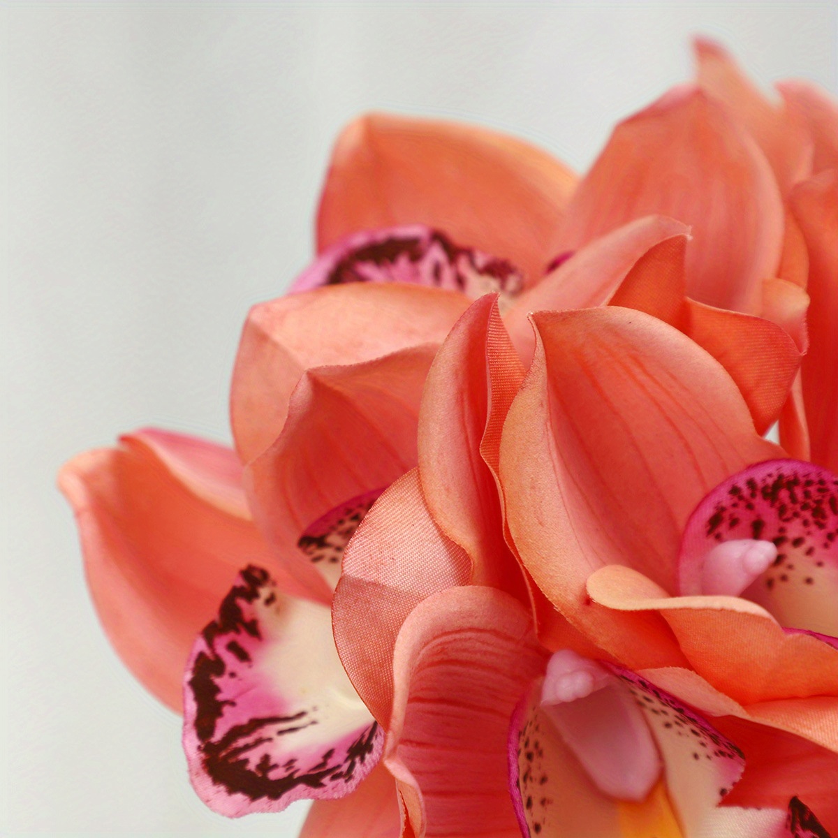 Cymbidium Bundle Home Interior Decoration Flower Bonsai - Temu United ...