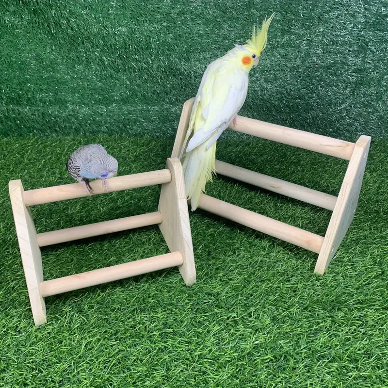 Natural Wood Parrot Perch Training Platform Ideal For Bird Temu