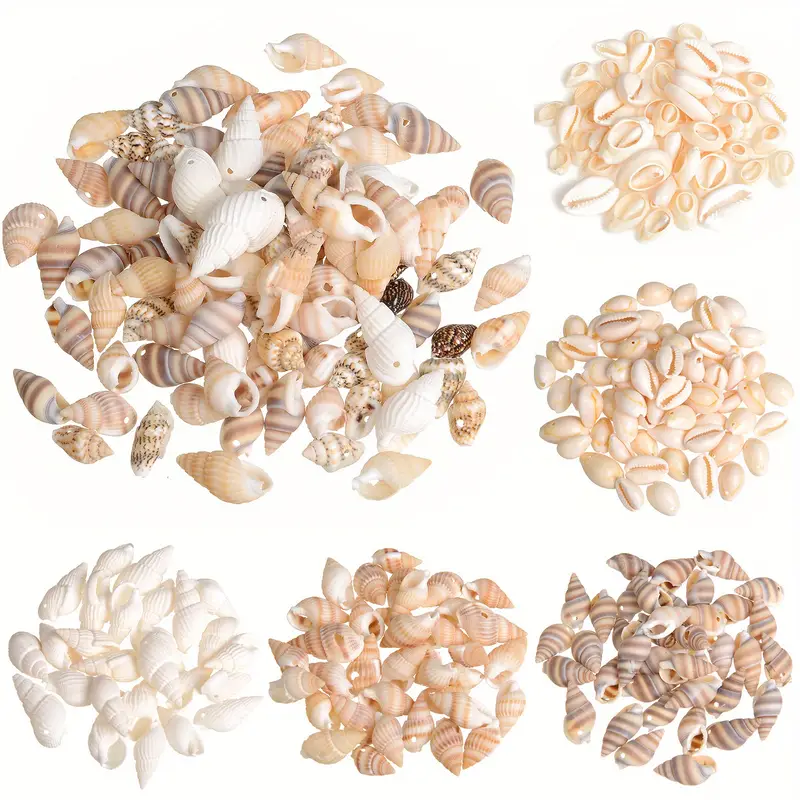 Natural Conch Beads Sea Shell Spacer Beads Jewelry Making Temu United