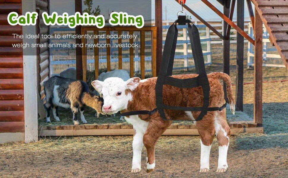 Calf Sling Lifting Calf Sling Weighing Small Animals Calf - Temu Canada