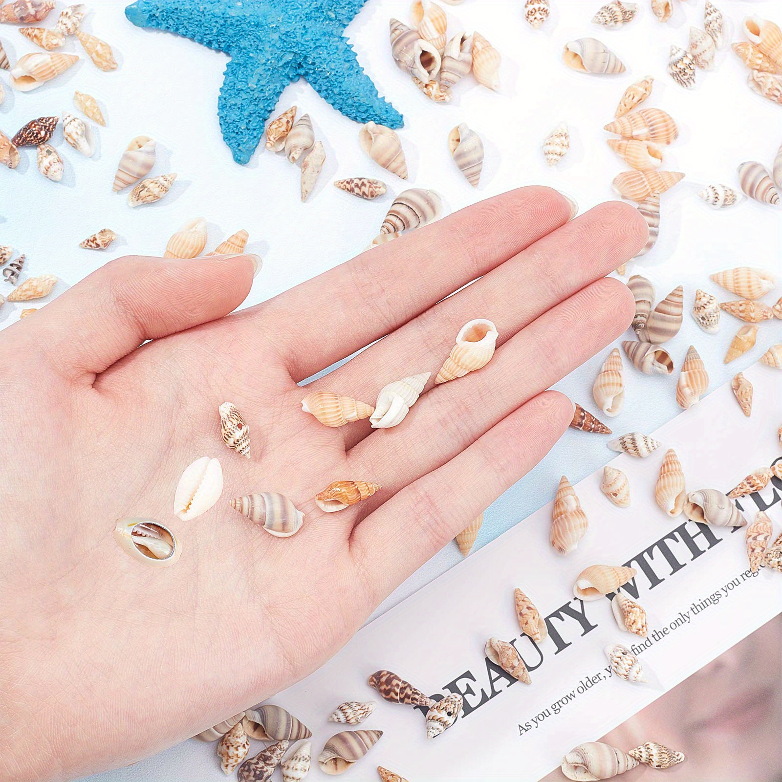 diy ocean seashell charms set summer beach style anklet - Temu Australia