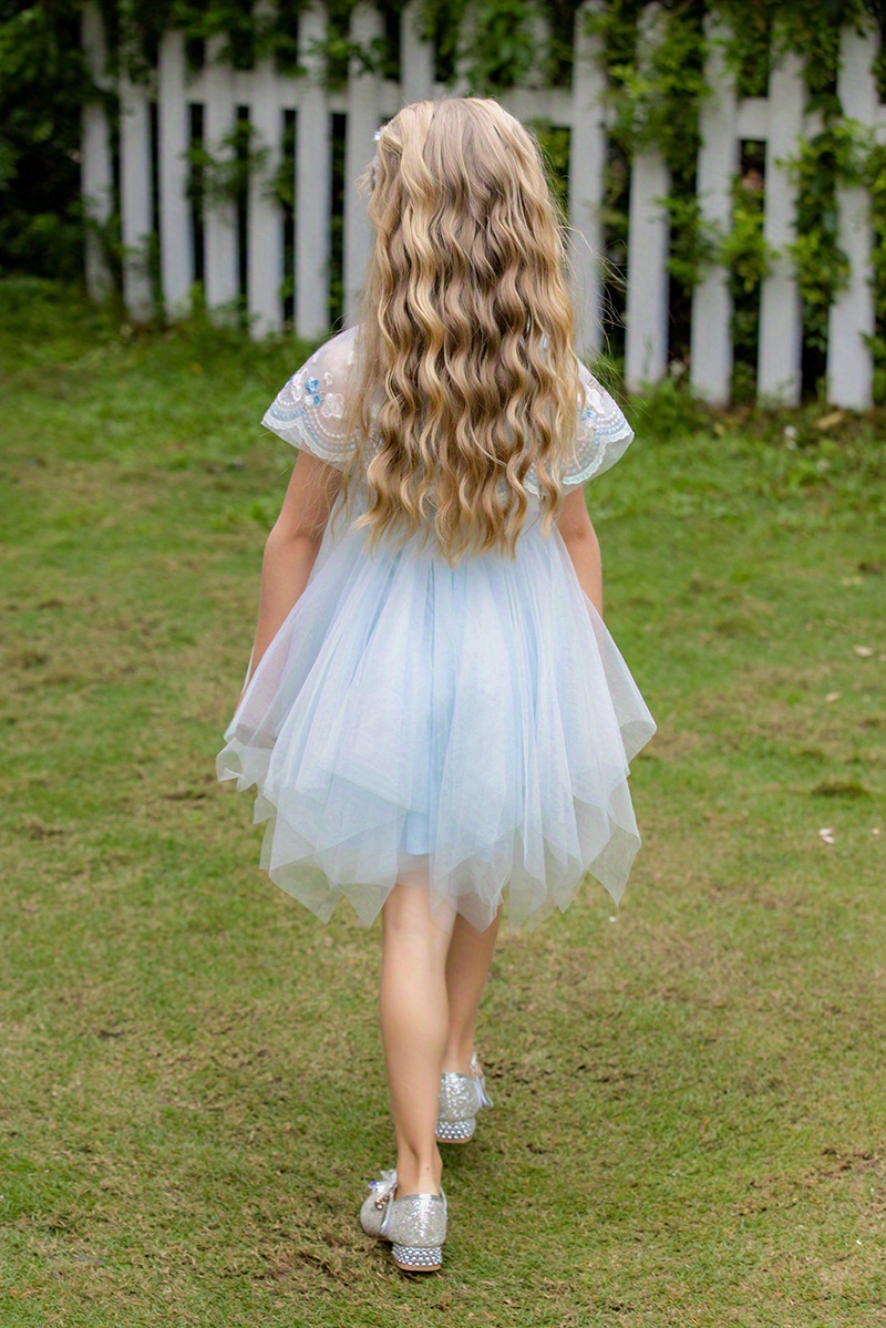 Girls Mesh Lace Collar Embroidered Princess Dress Birthday - Temu ...