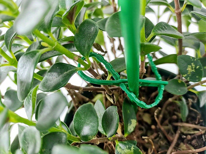 Adjustable Garden Plant Twist Ties Flexible Reusable Plastic - Temu ...