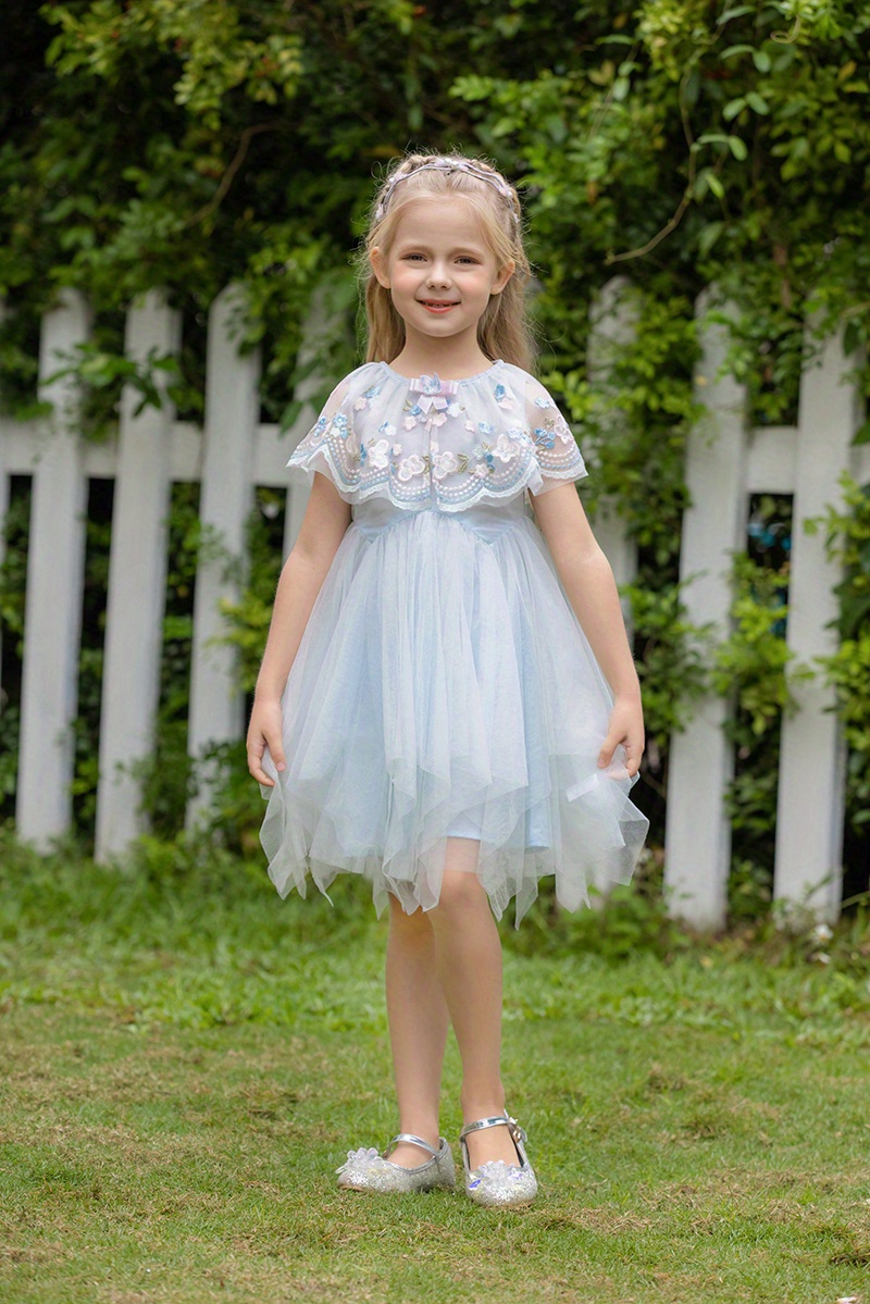 Girls Mesh Lace Collar Embroidered Princess Dress Birthday - Temu ...
