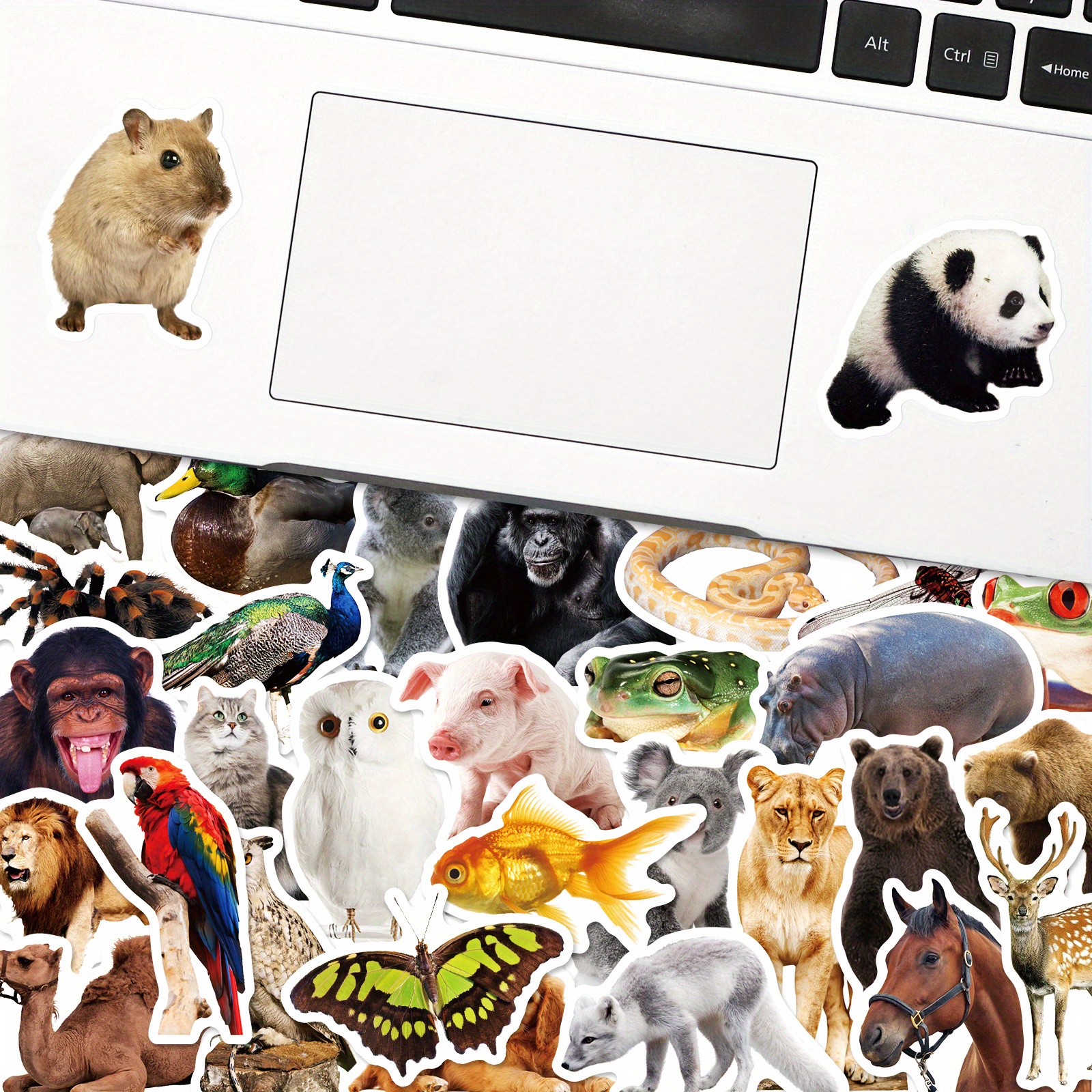 Animal Stickers Vinyl Waterproof Stickers - Temu Ireland
