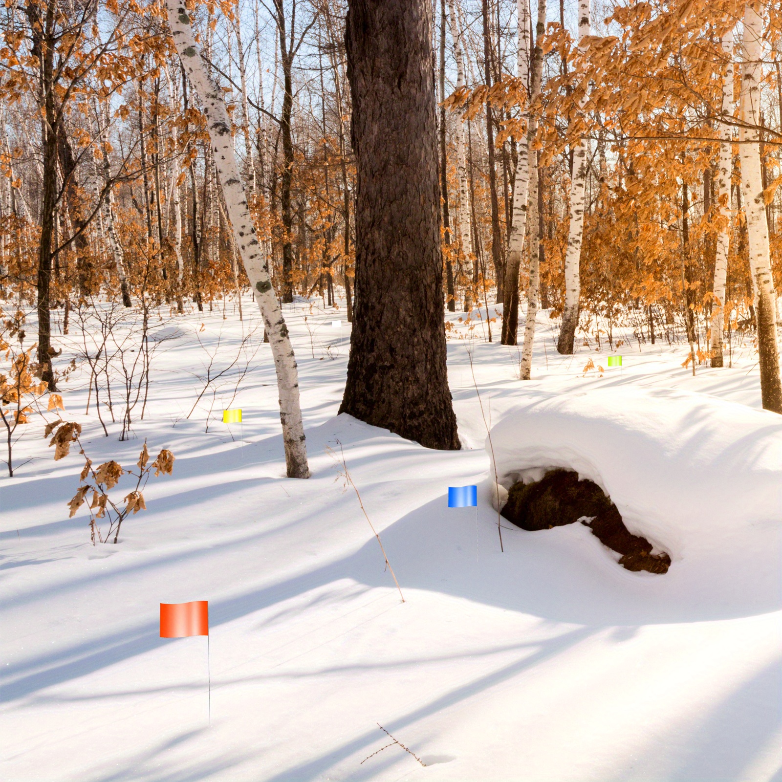 Flags Pole Height Great Landscape Flags - Temu