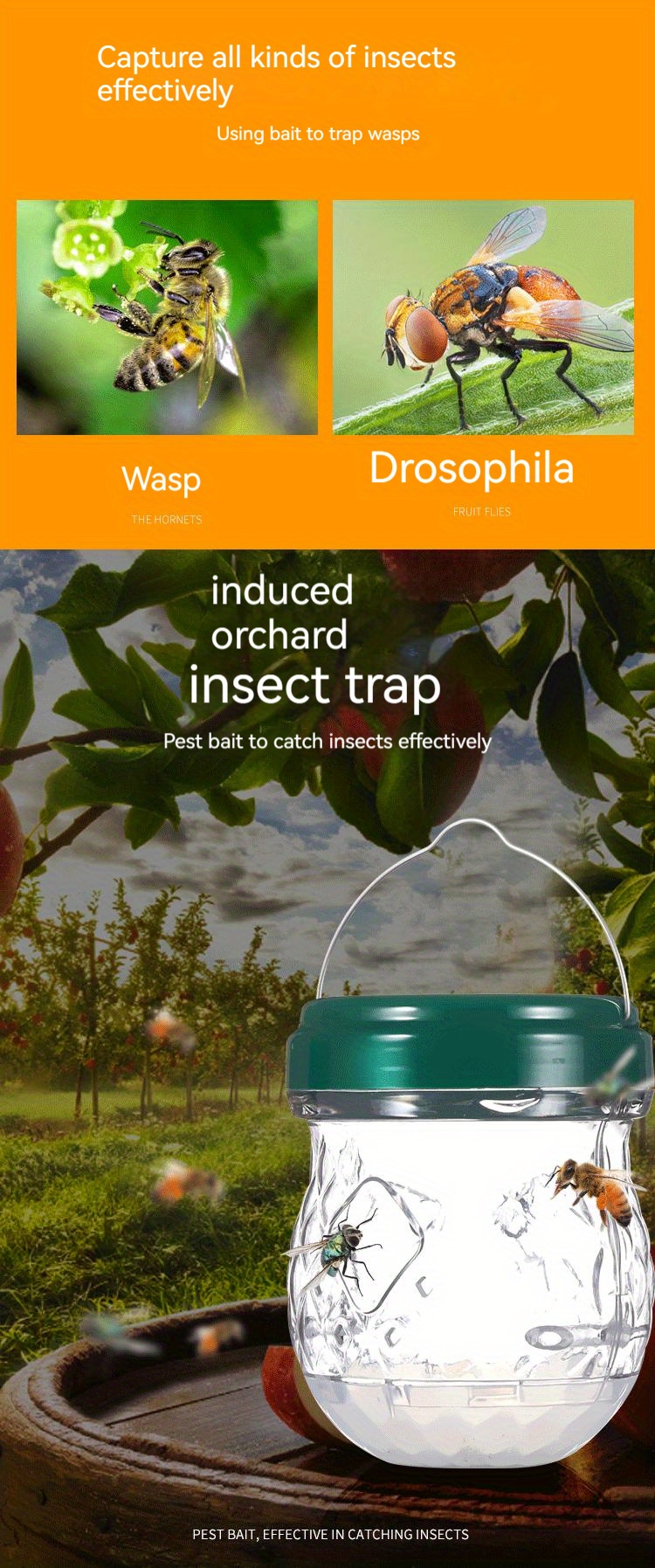 2023 New Outdoor Bee Catcher Fruit Fly Trap Orchard Insect - Temu