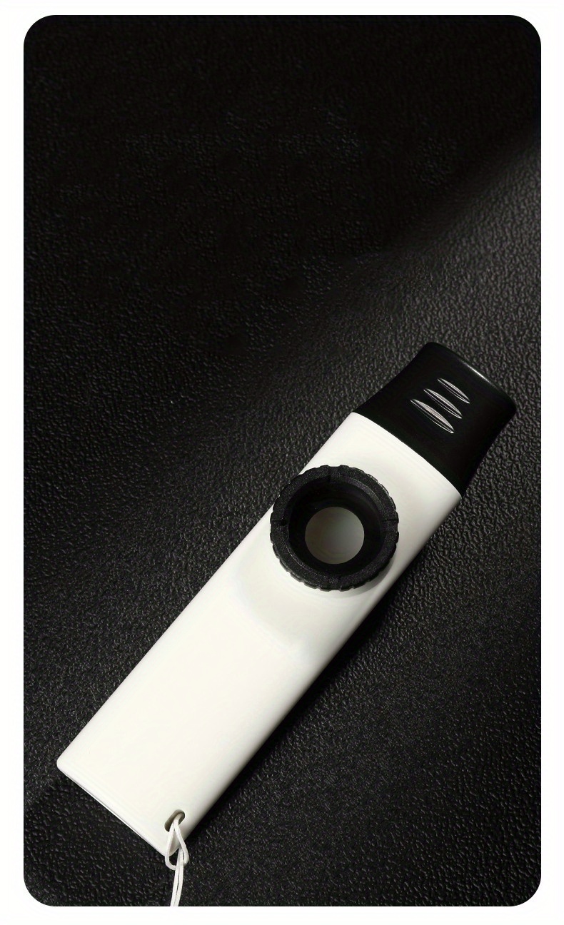 Beginner Flute Professional - Temu Canada