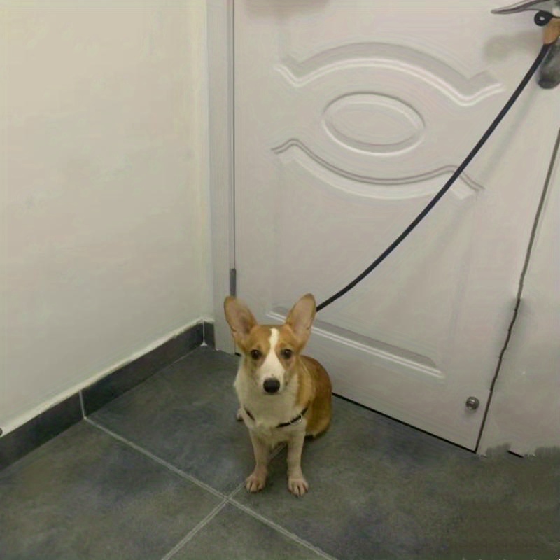 Riot Punch Chain Dog Leash Dog Chain Training Dog - Temu Canada