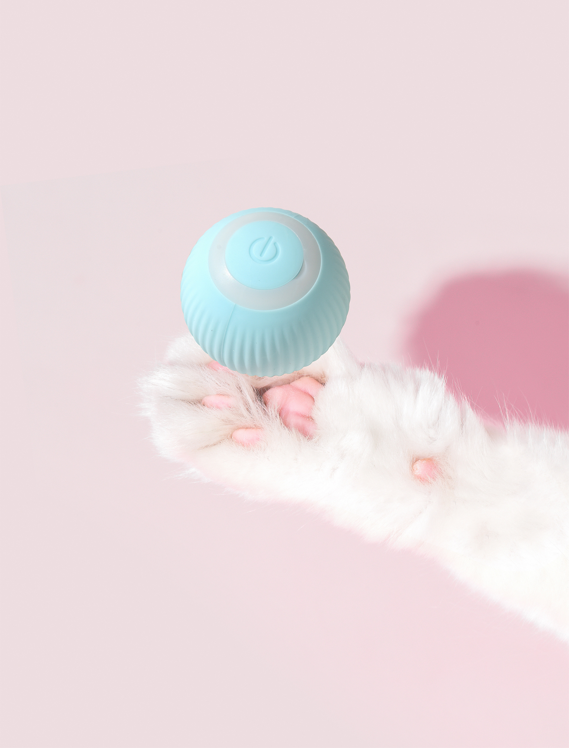 Cat - Temu Australia