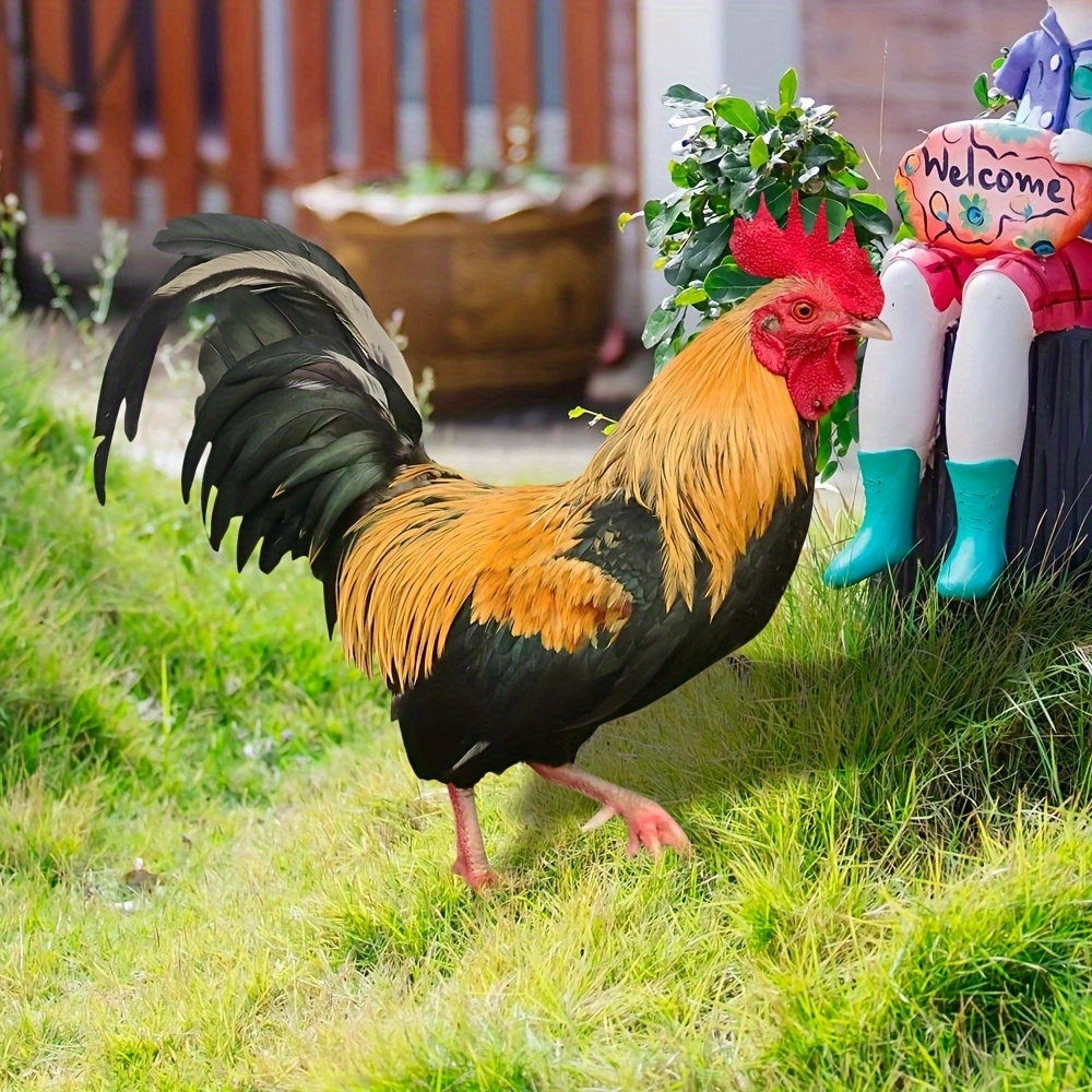 Acrylic 3d Simulation Rooster Yard Art Decoration Statue - Temu United ...