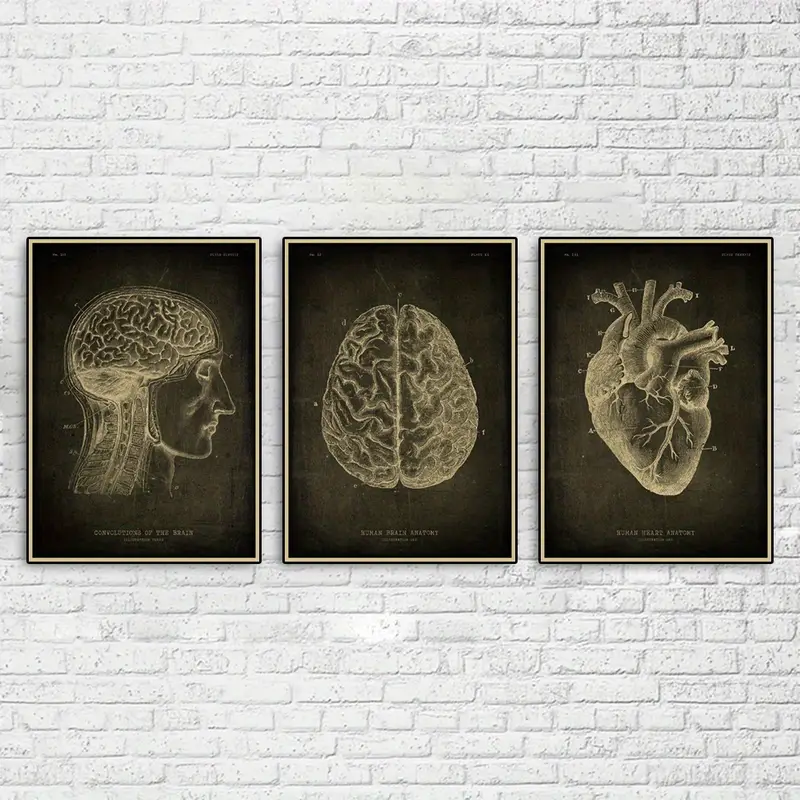 Anatomy Brain Mural Poster Vintage Human - Temu Anatomy Brain Mural Poster Vintage Human - Temu