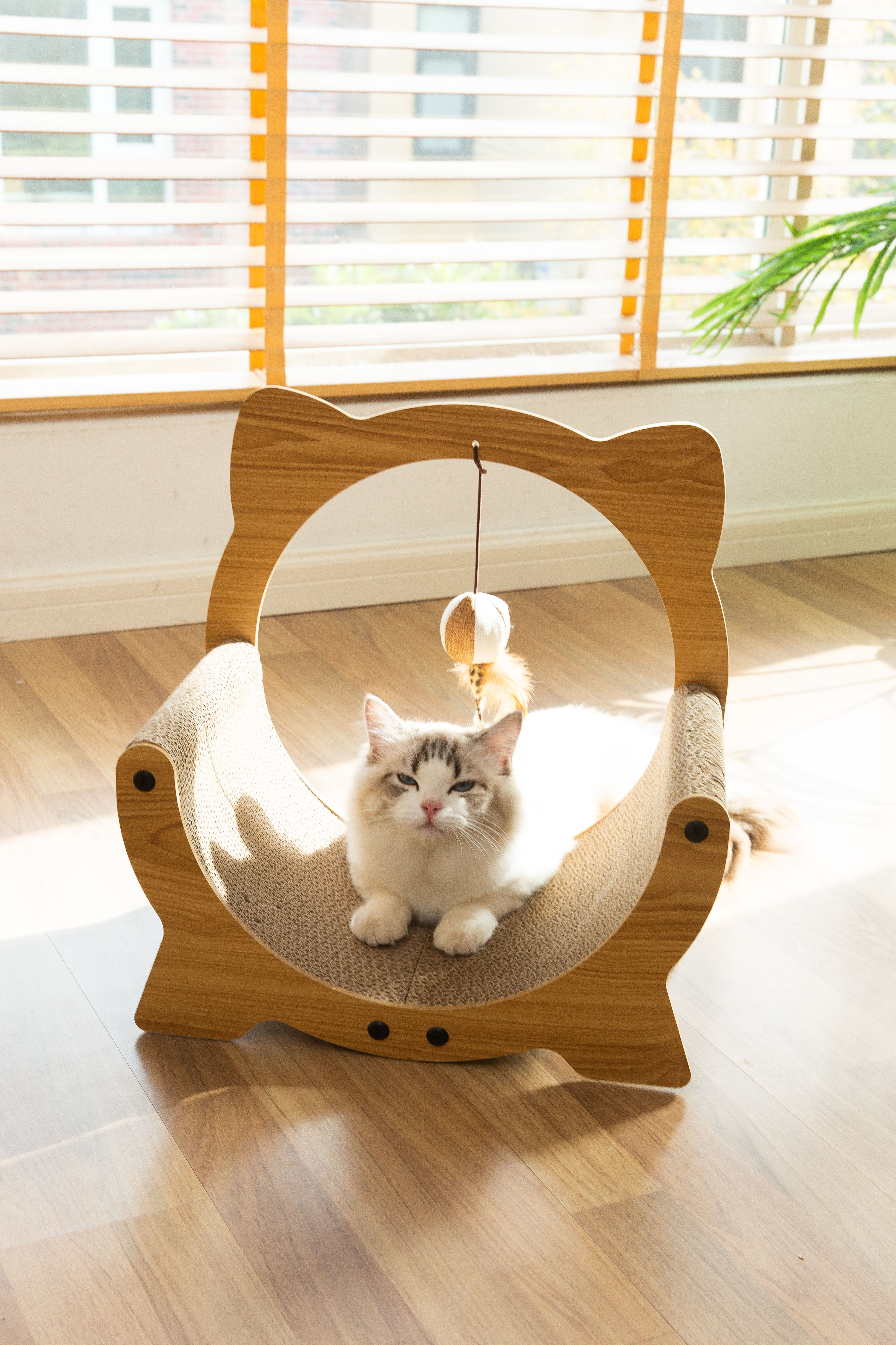 Cat Scratching Bed Cat Bed - Temu