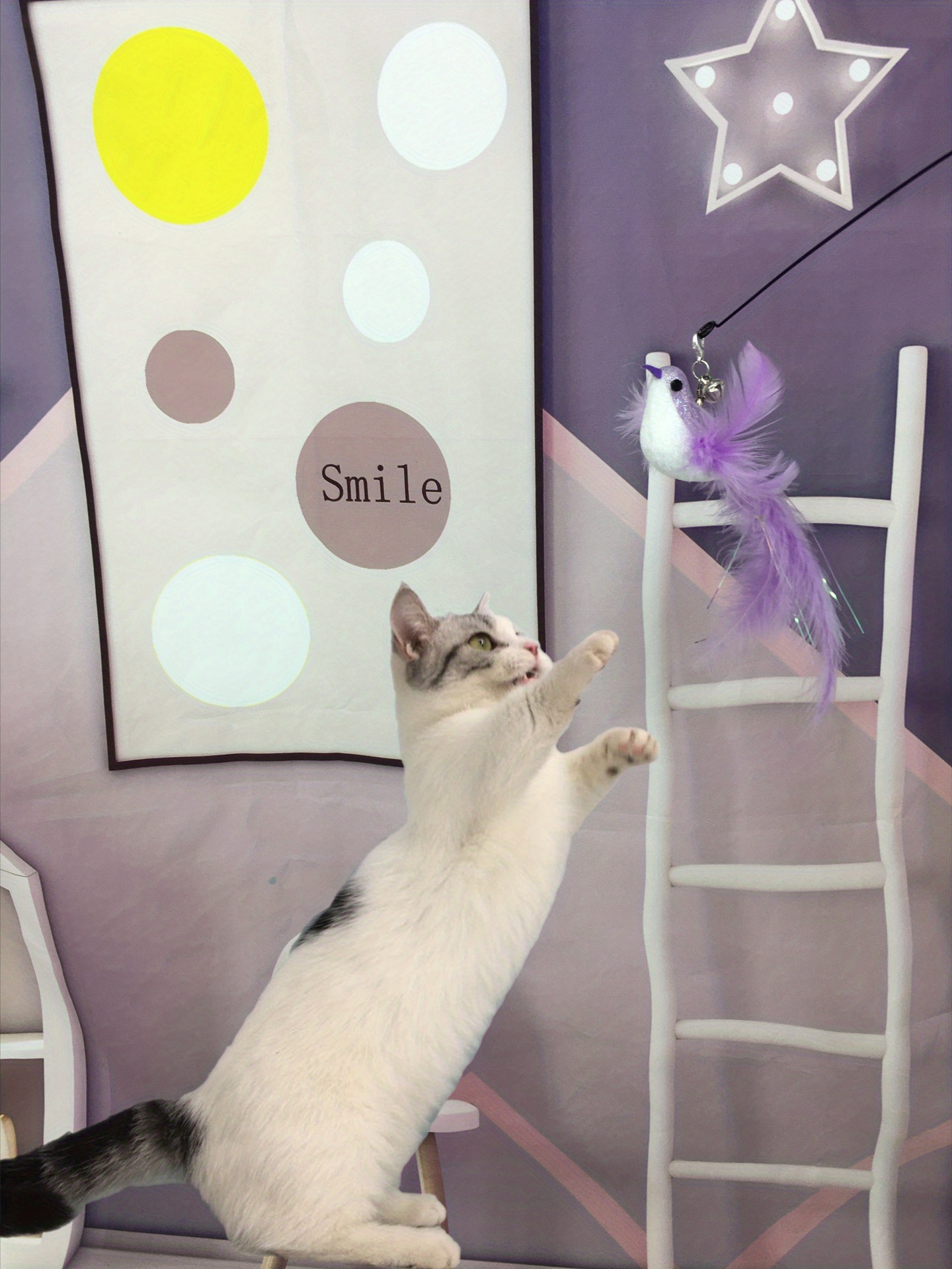 Cat Set Toy - Temu Australia