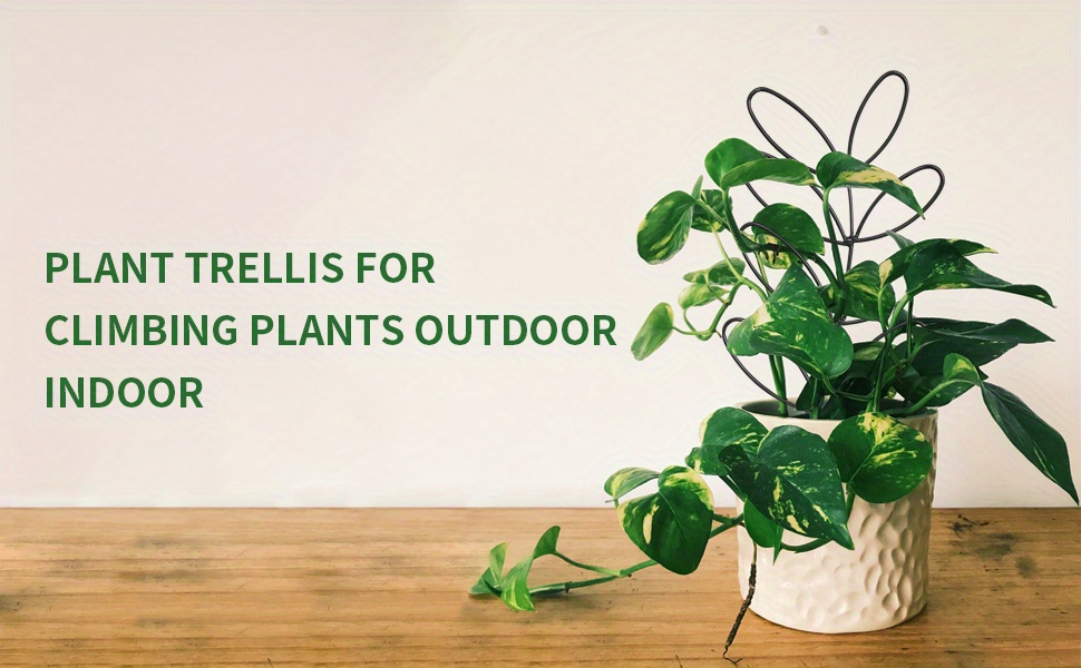 Indoor Plant Trellis Metal Wire Garden Trellis Small - Temu