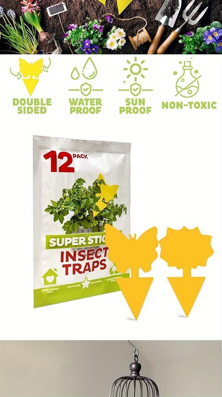 Sticky Traps Fruit Fly Traps For Indoors, Fungus Gnat Traps For House ...