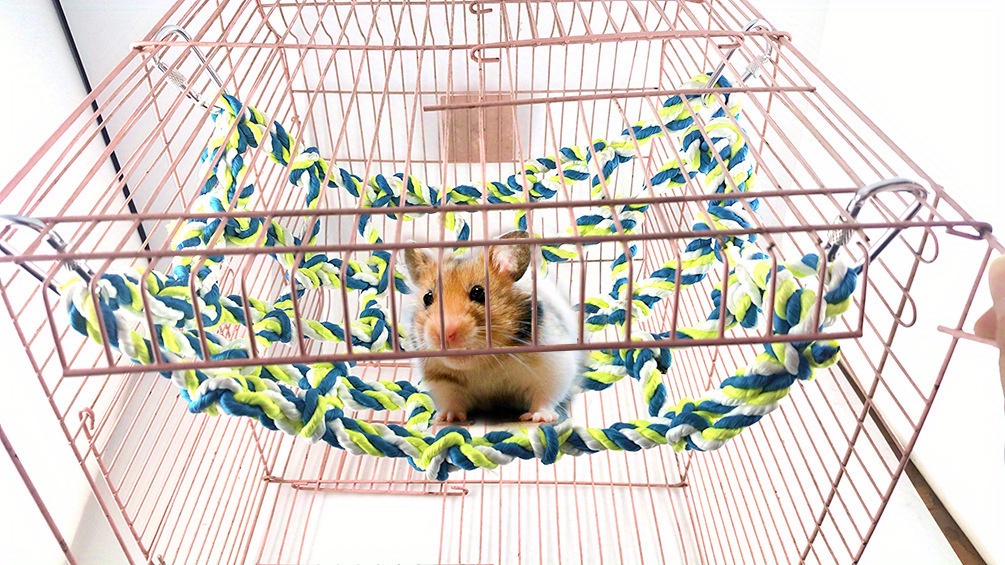 Pet Climbing Rope Net Hammock Toys Rat Hanging Bed Hammock - Temu Australia
