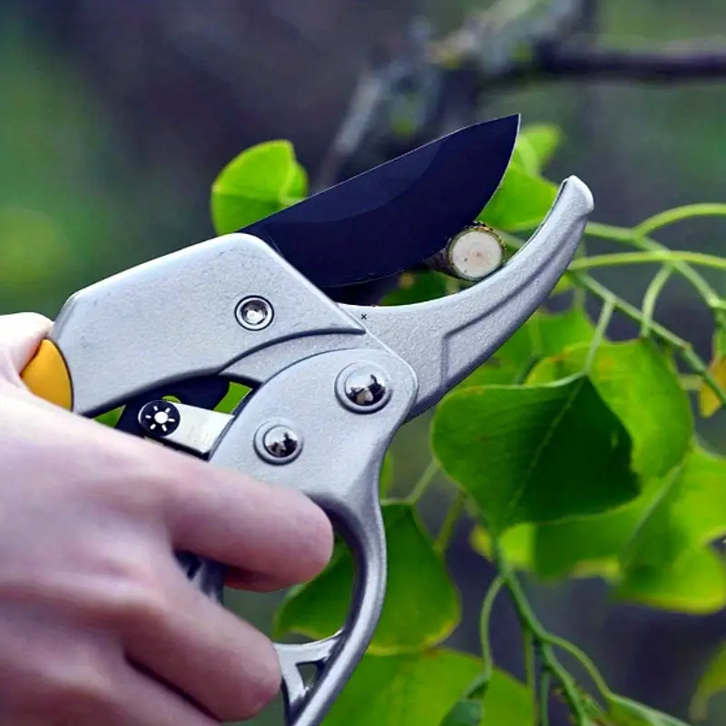 Pruning Shears Gardening Shears Garden Shears Manual Pruning Temu