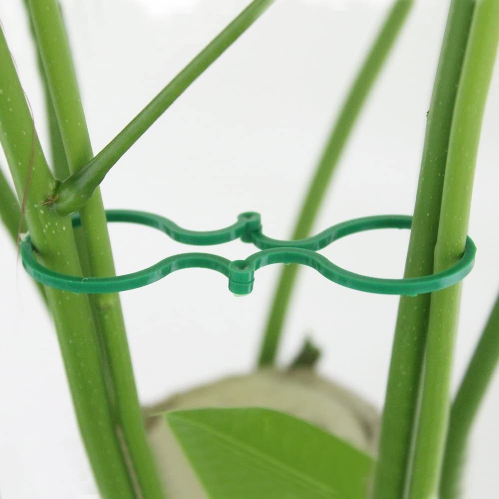 Plant Clips For Climbing Plants Garden Clips Plant Support Clips For ...