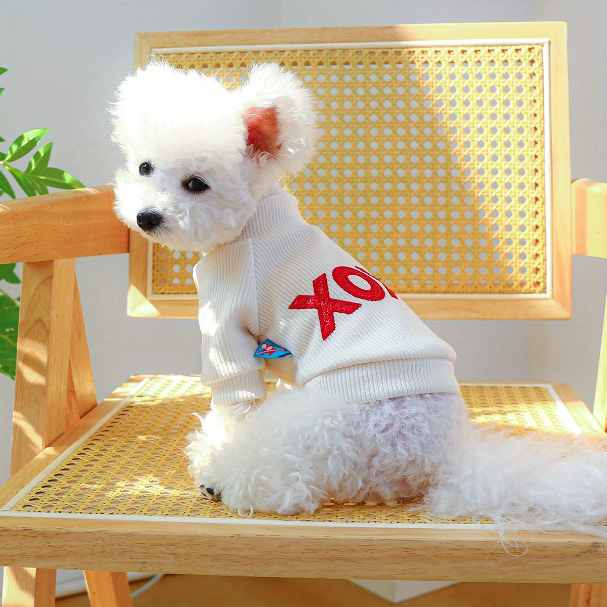 Adorable Pet Outfits Dog Sweatshirt Hoodie Costume For Small Medium ...