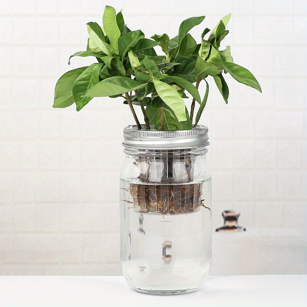 1pc plant germinated glass containers with stainless steel brackets for ...