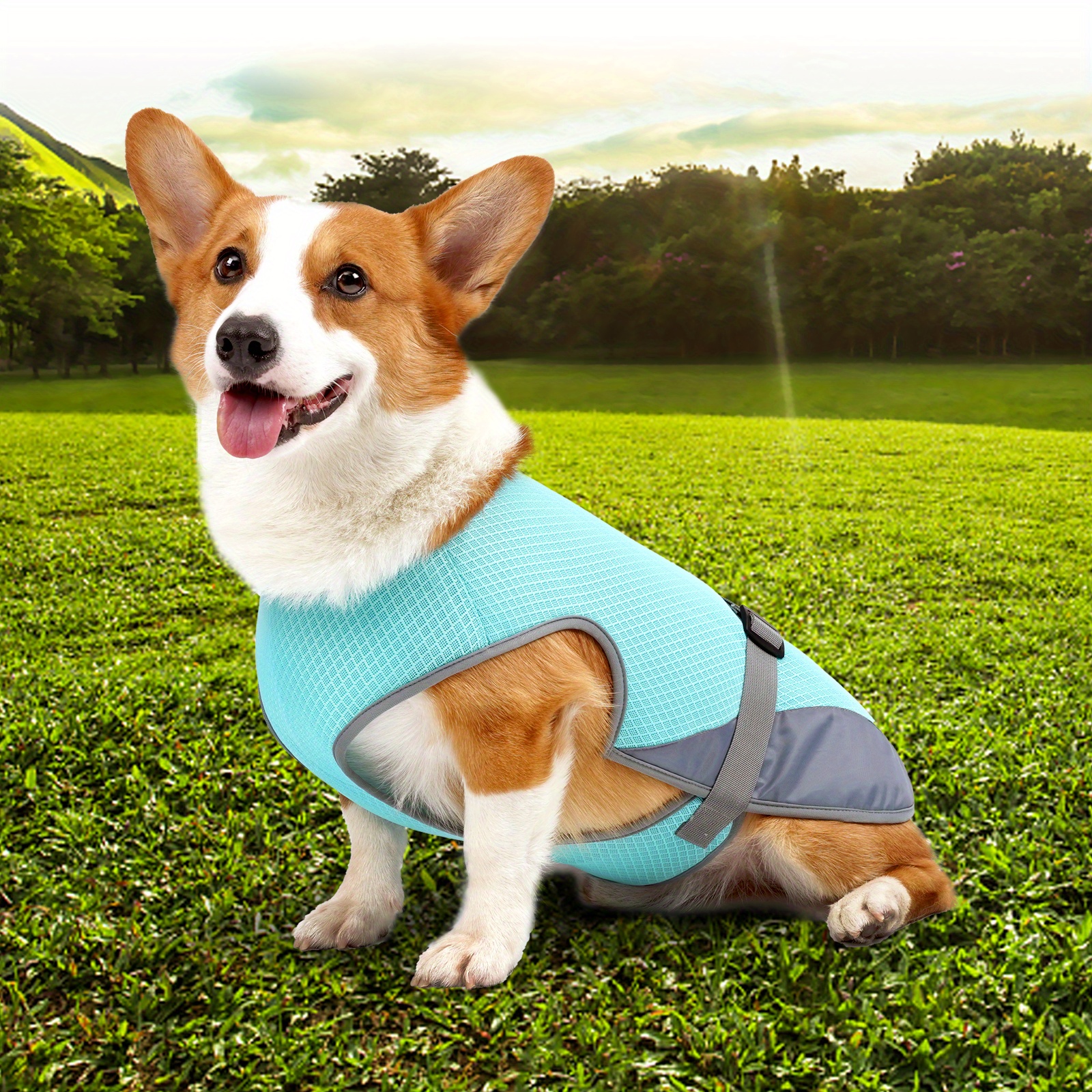 Breathable Mesh Dog Cooling Vest Adjustable Straps Keep Pet - Temu ...