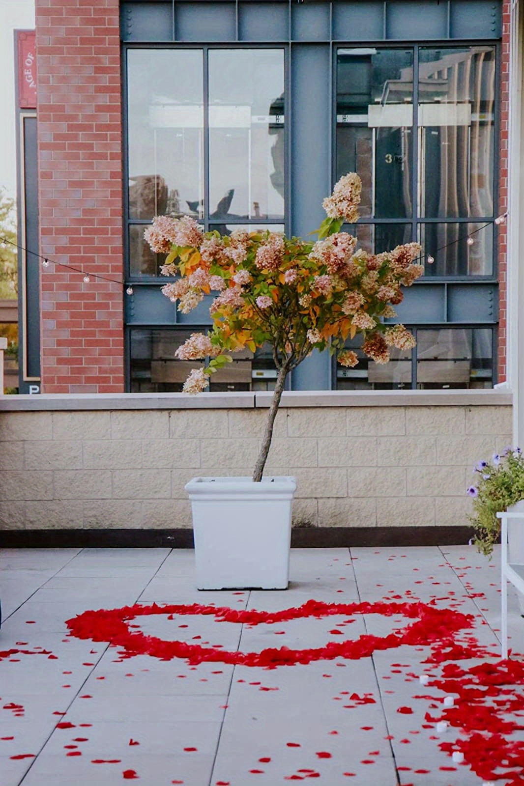 red rose petals artificial roses flower petals romantic - Temu New Zealand