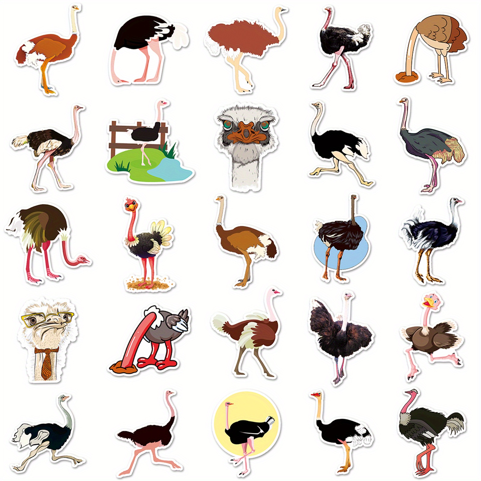 Ostrich Laptop - Temu