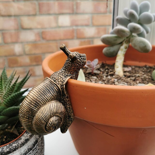 Handcrafted Snail Figure Plant Pot Hanger Add A - Temu