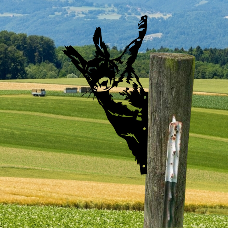 Wall Decoration Farm Metal Animals Squirrel Decoration - Temu