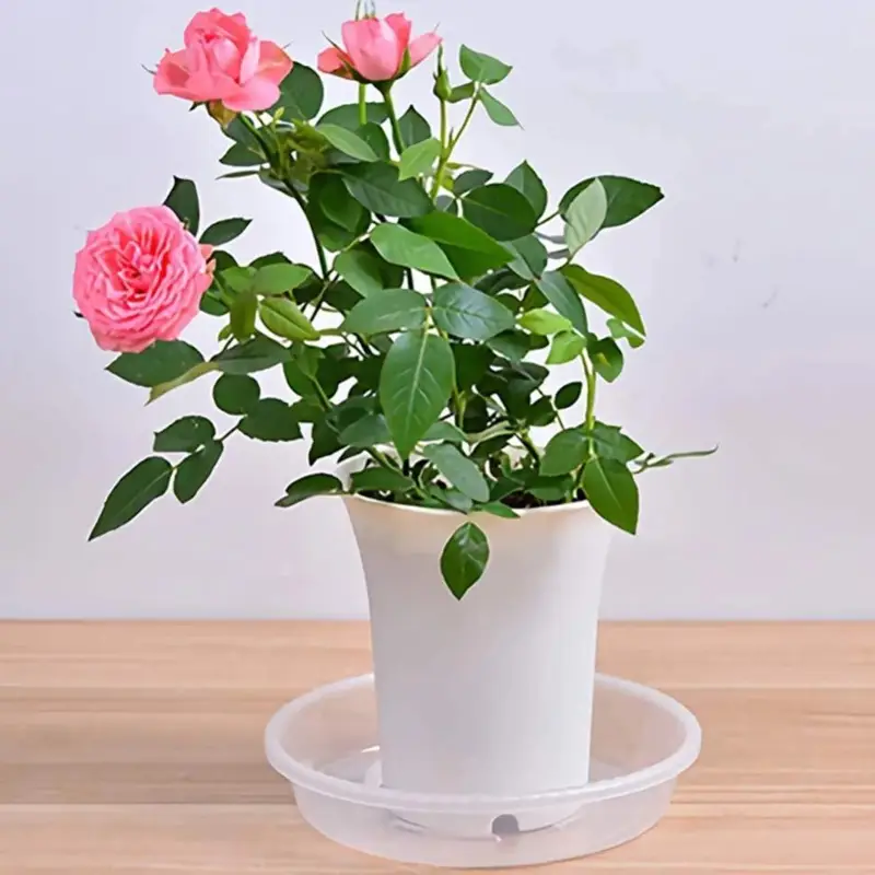 10 個透明植木鉢プラスチックトレイ、可動植木鉢ホルダー、植木鉢底ホルダー、植木鉢トレイ付き 期間限定ディールのために今すぐショップ