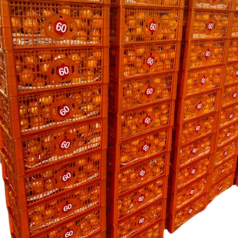 Fruit Labels Boutique Number Labels Universal Stickers #90 - Temu