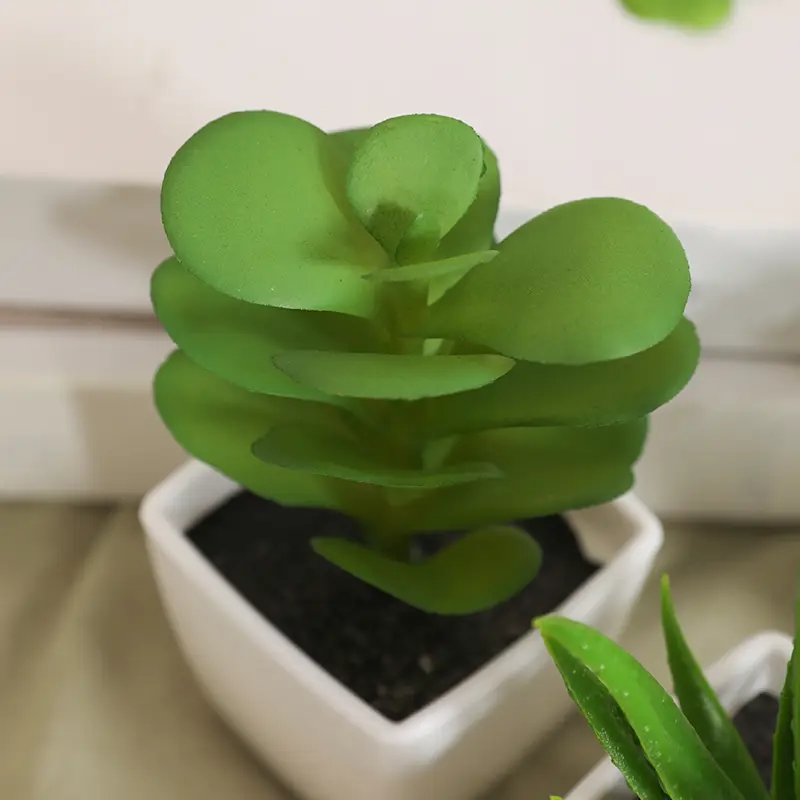 6 ポット シミュレーション 多肉植物 ミニ鉢植え フェイクグリーン 多肉植物 鉢植え 多肉植物 オーナメント Home