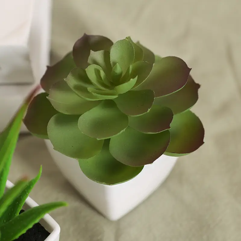 6 ポット シミュレーション 多肉植物 ミニ鉢植え フェイクグリーン 多肉植物 鉢植え 多肉植物 オーナメント Home