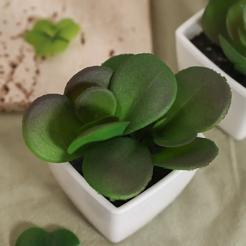 6 ポット シミュレーション 多肉植物 ミニ鉢植え フェイクグリーン 多肉植物 鉢植え 多肉植物 オーナメント Home
